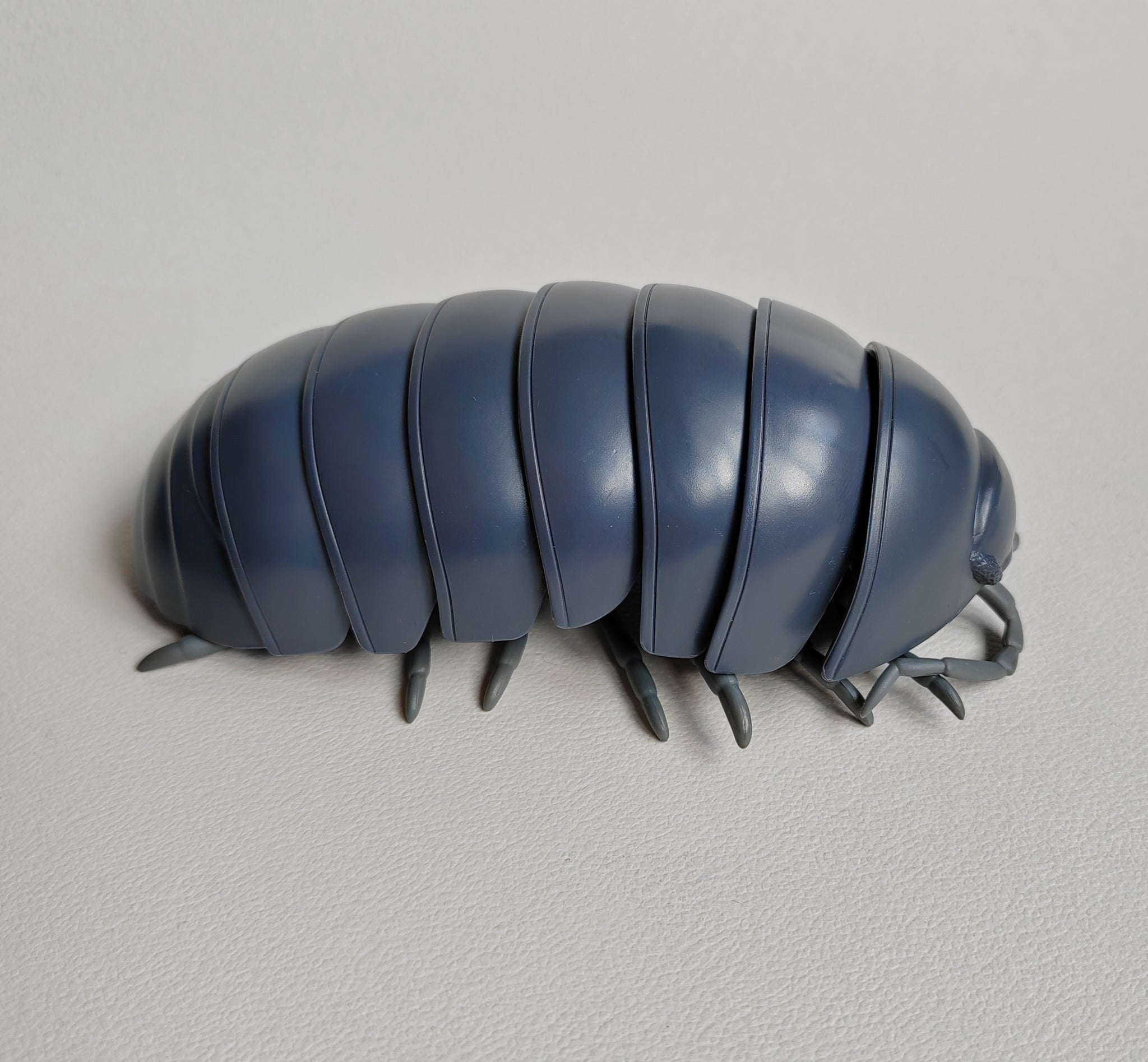 Dangomushi - Isopod, Woodlouse, Pillbug figures! Various options, Japa ...