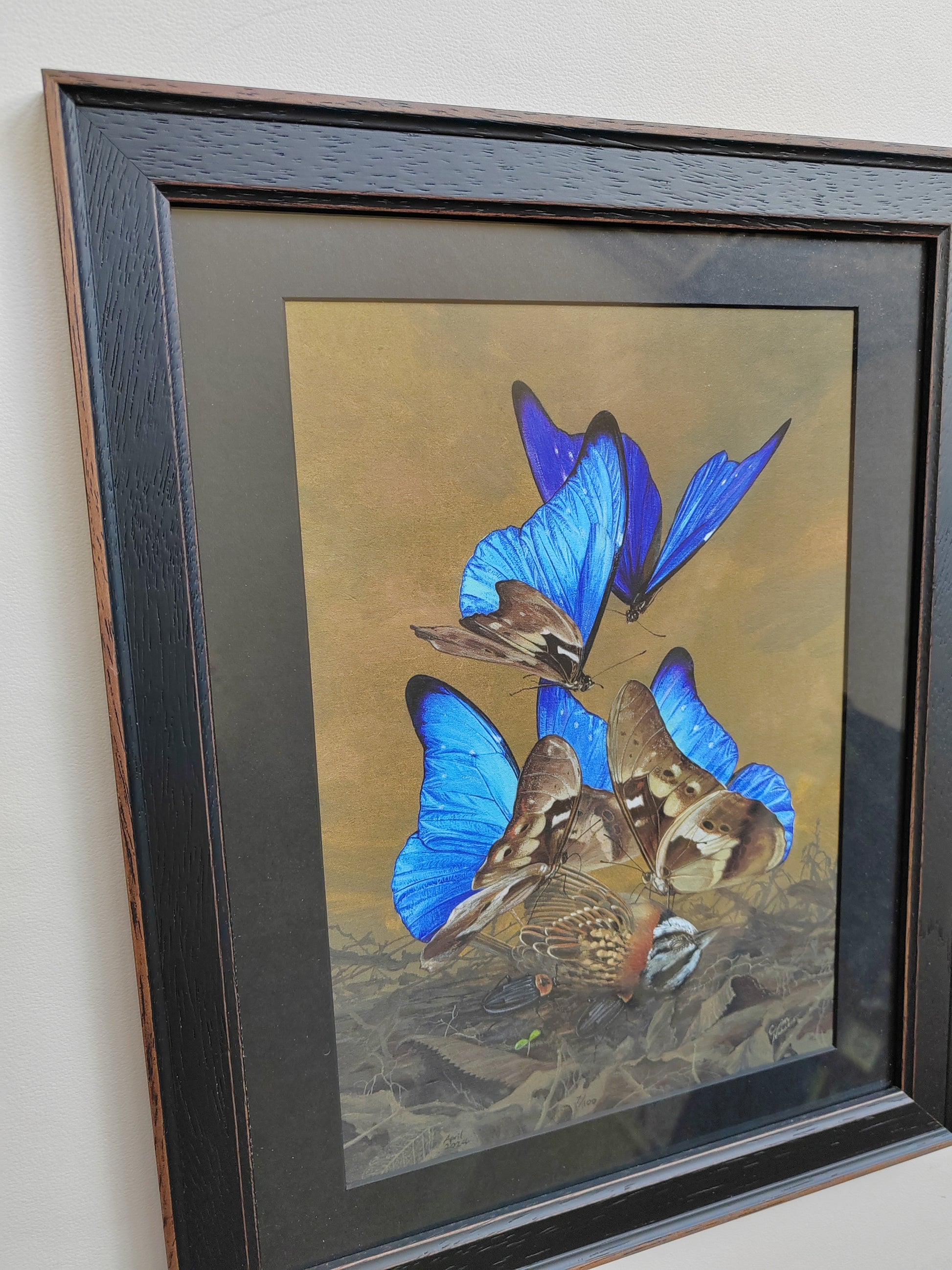 Songbird - framed Limited edition art print – Carim Nahaboo Artwork