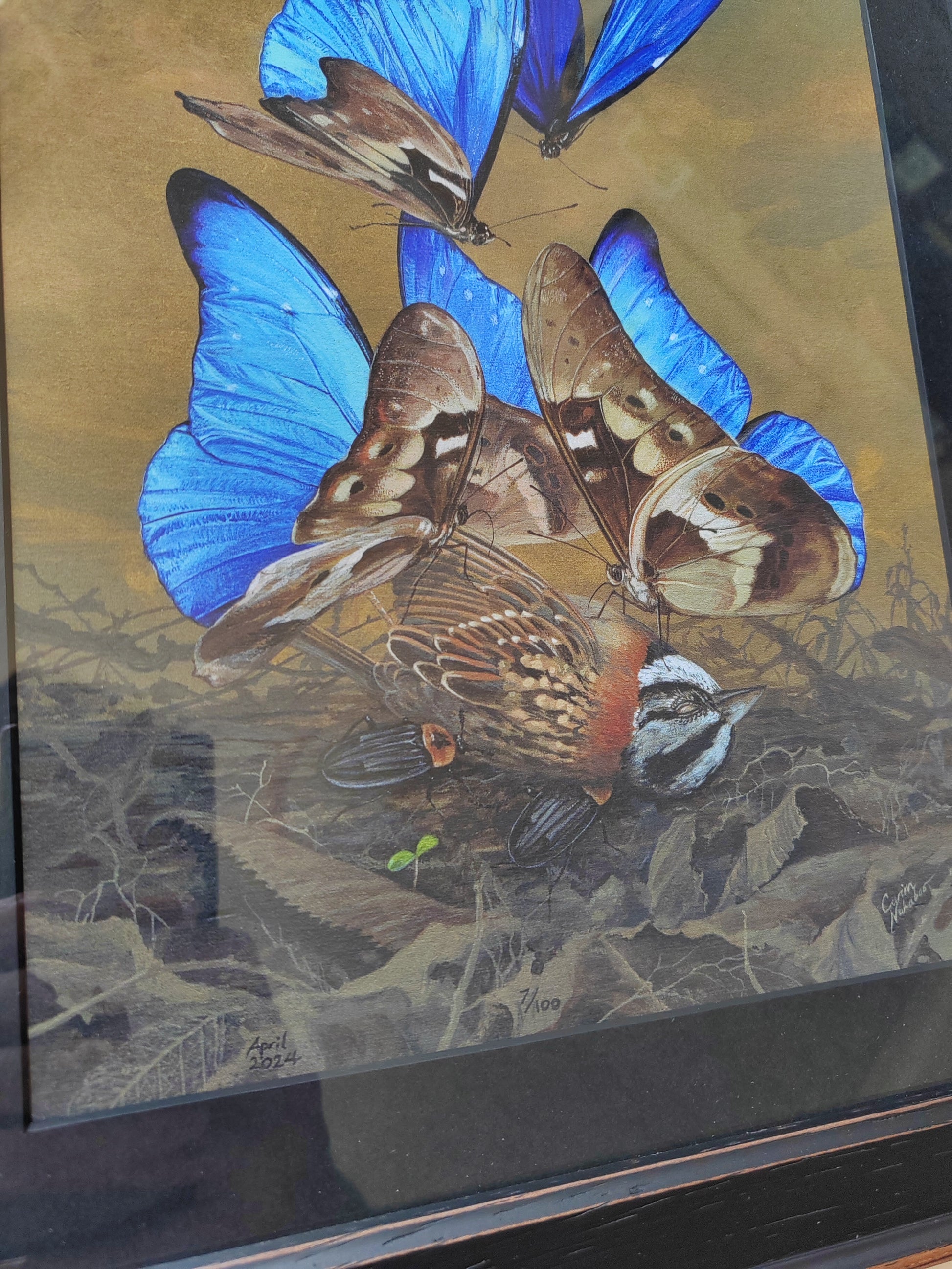 Songbird - framed Limited edition art print – Carim Nahaboo Artwork